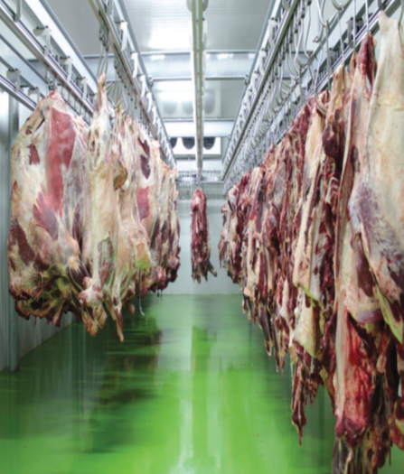 Meat Storage – Specialized company in refrigeration and air ...